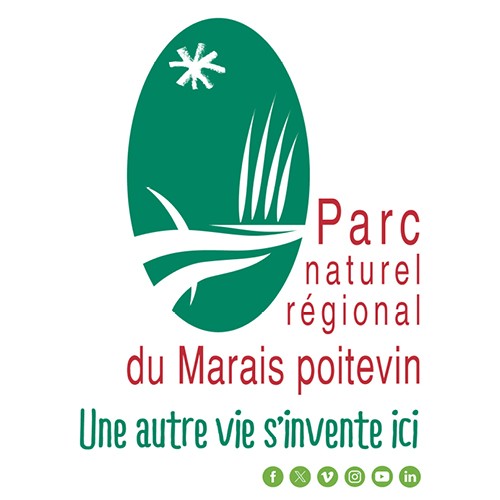 Matinale du bois // Visite Marais Poitevin et Scierie de la Garette ...